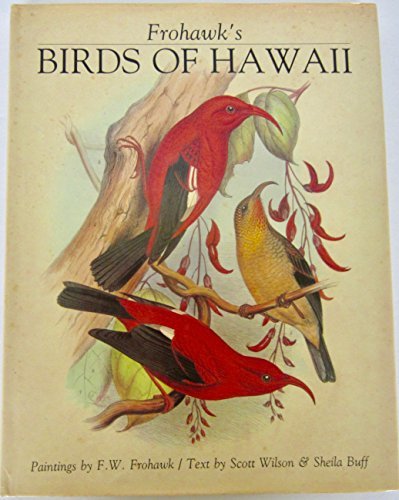 Frohawk's Birds of Hawaii Scott Wilson; Sheila Buff and F. W. Frohawk ...